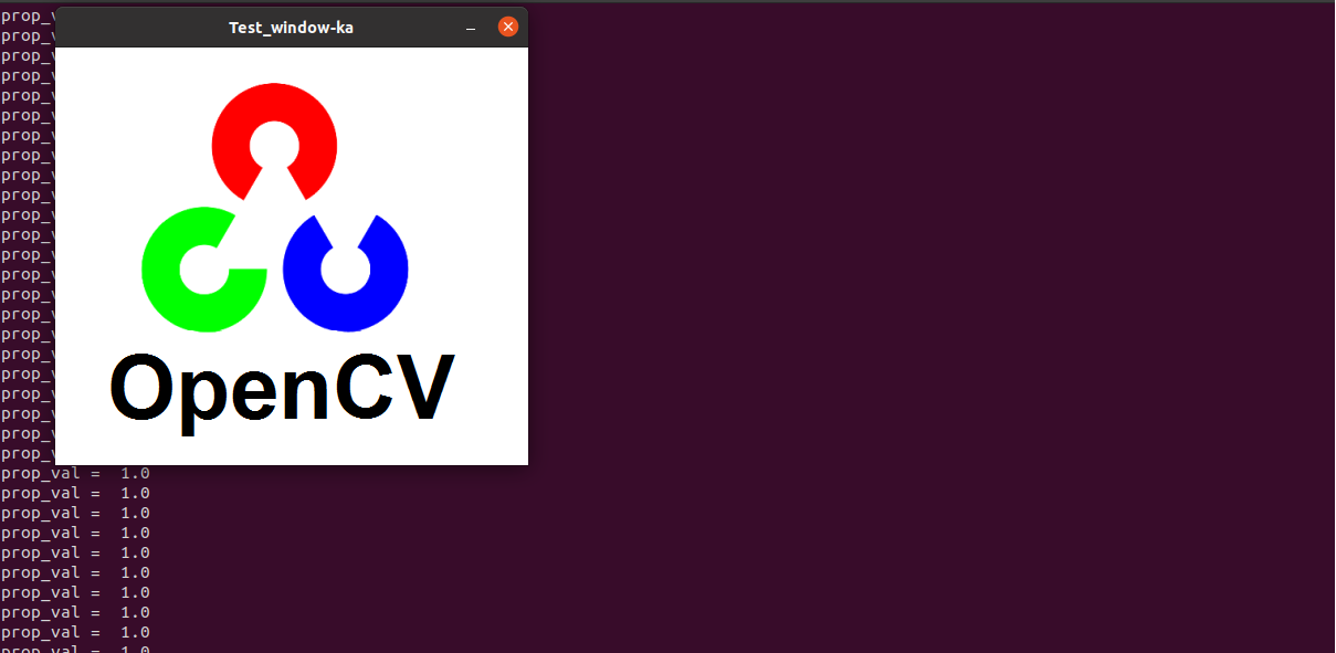 openCV 4.5.3 in openVINO 2021.4.689 : Window name issues not present in ...