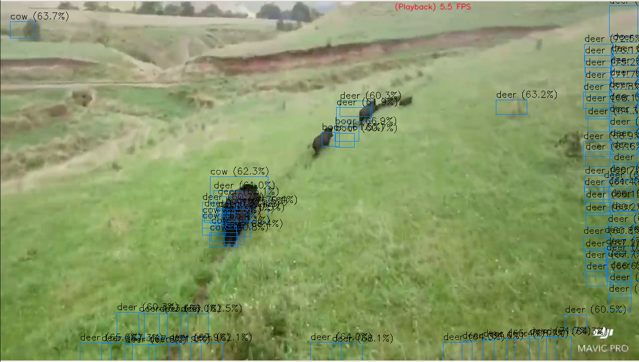 OpenVINO custom Yolov3-tiny / Yolov4-tiny Inference - Intel Community