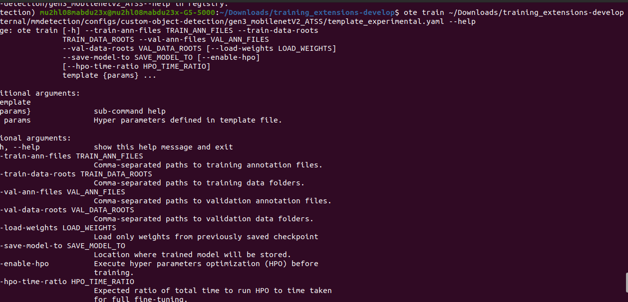 Solved: openvino custom model - Intel Communities