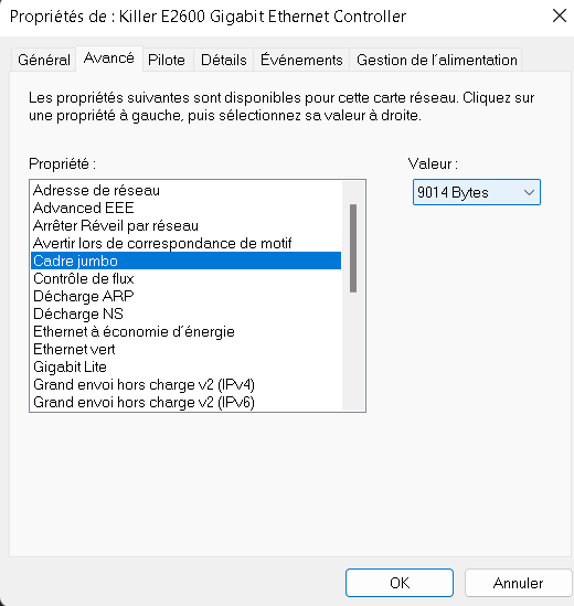 Increase Receive buffer under windows 11 - Intel Community